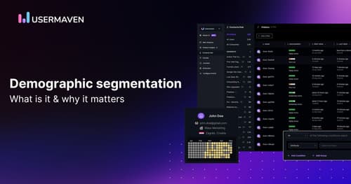 What is demographic segmentation & why it matters